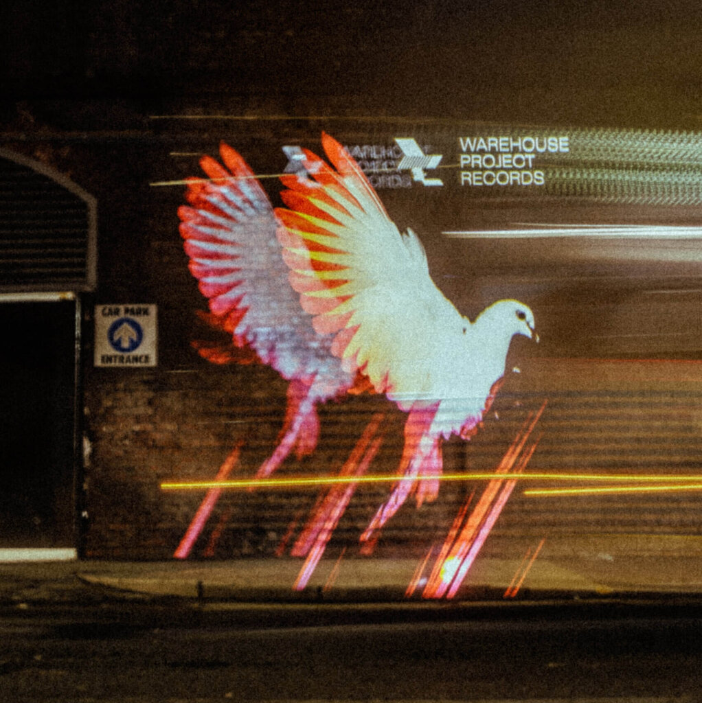 WHP RECORDS - The Warehouse Project